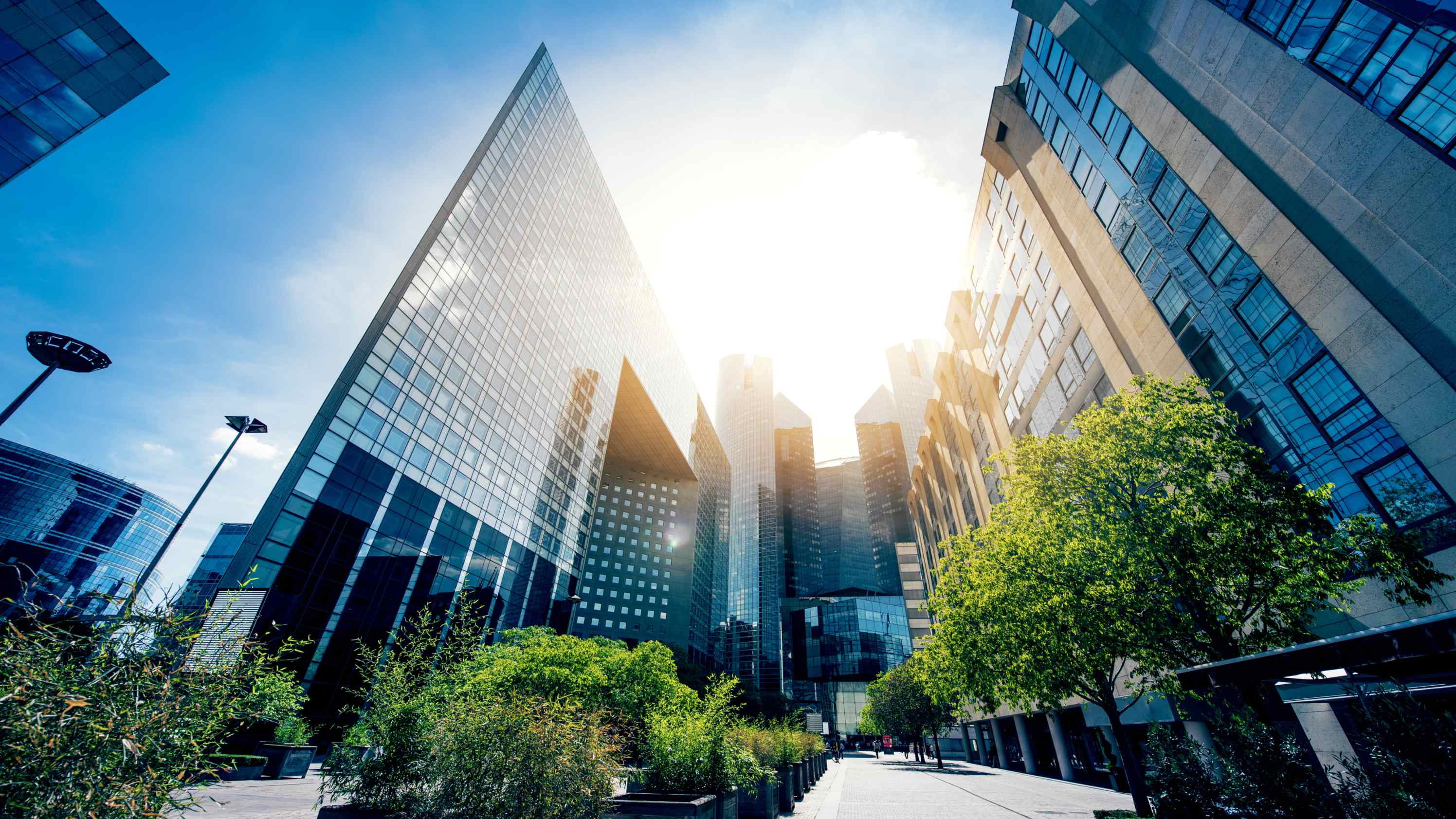 Choosing the right prime services partner | Article