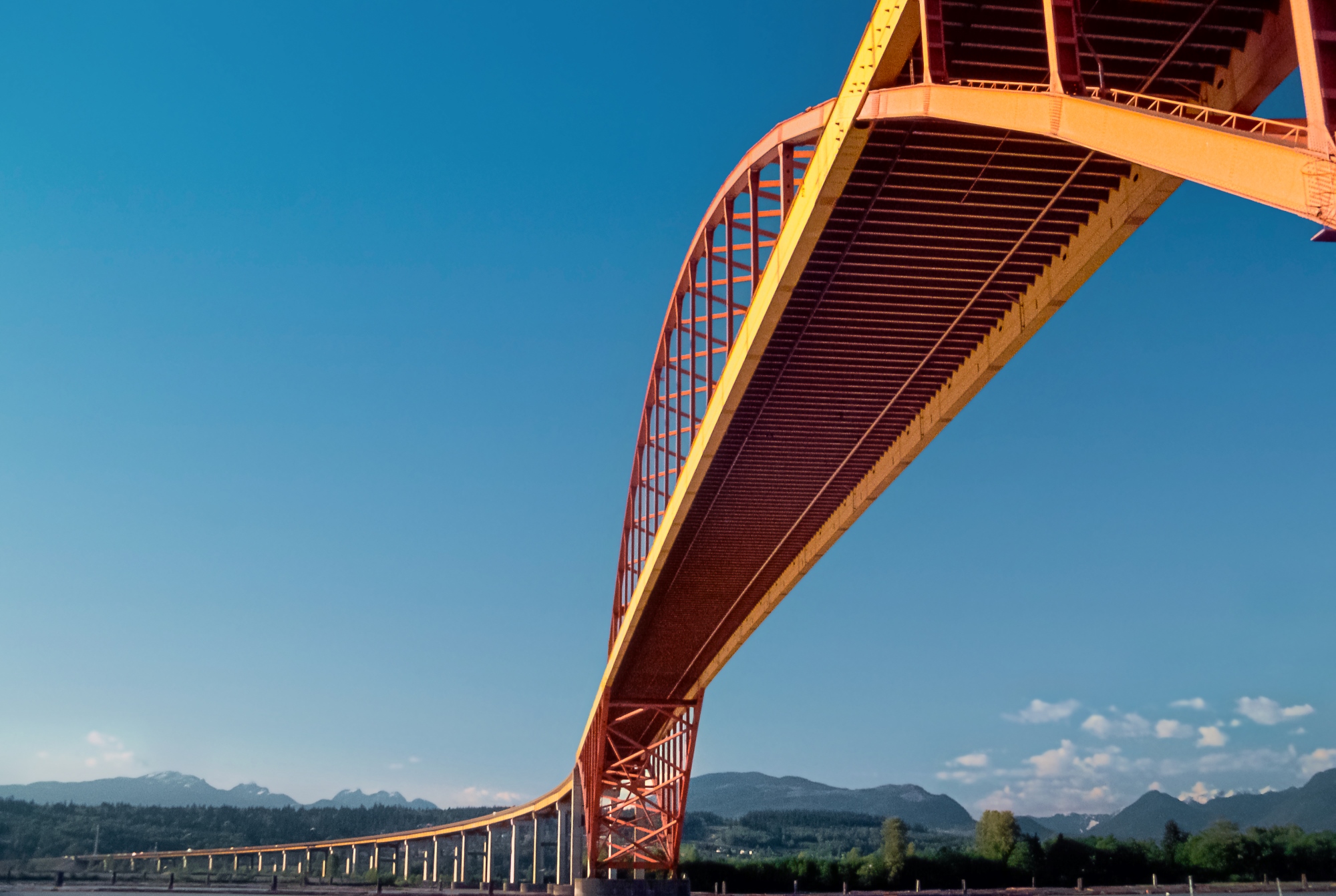 Focus On: The Canadian Federal Election | Article