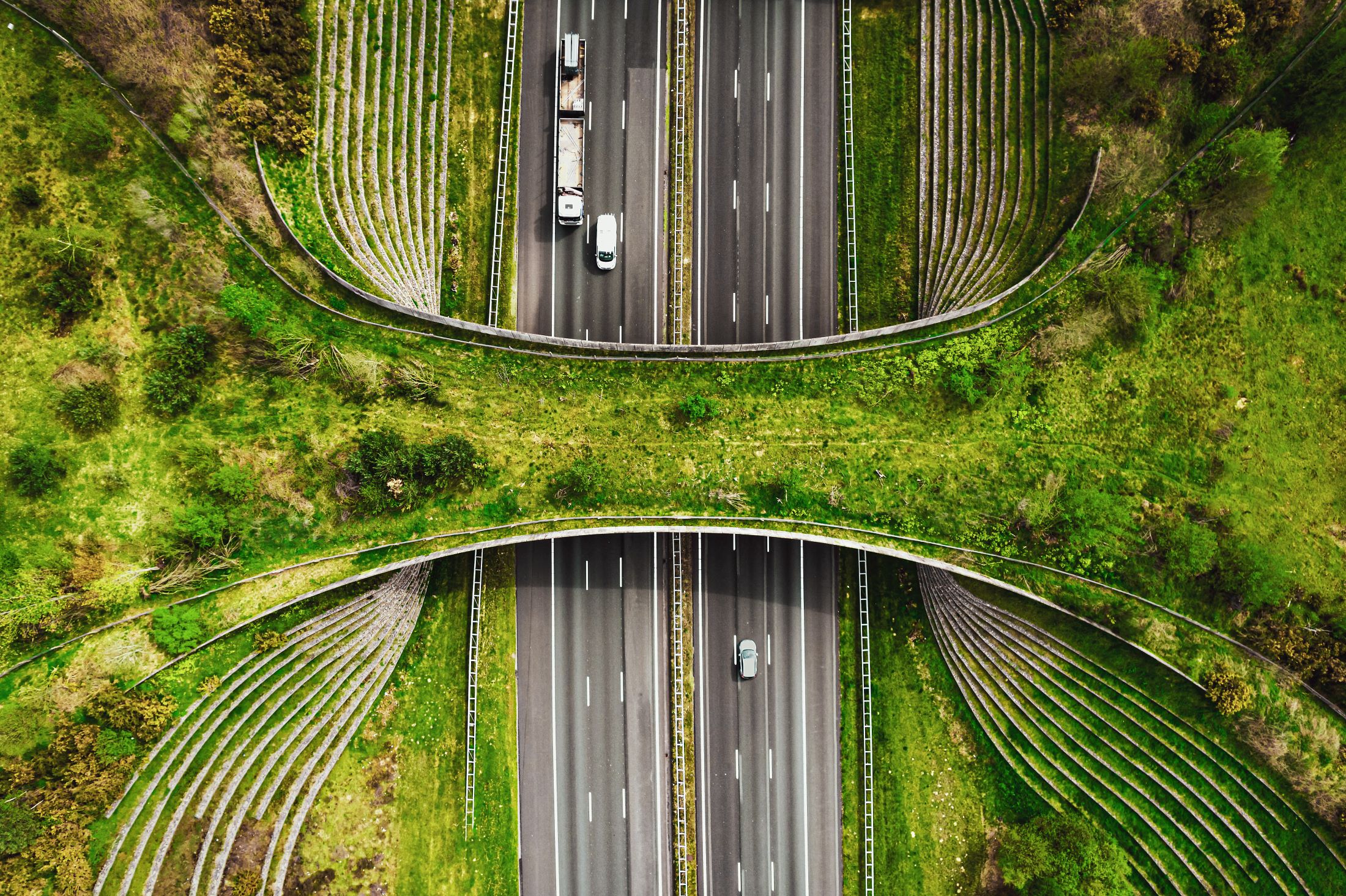 ICMA recognizes green enabling projects | Article